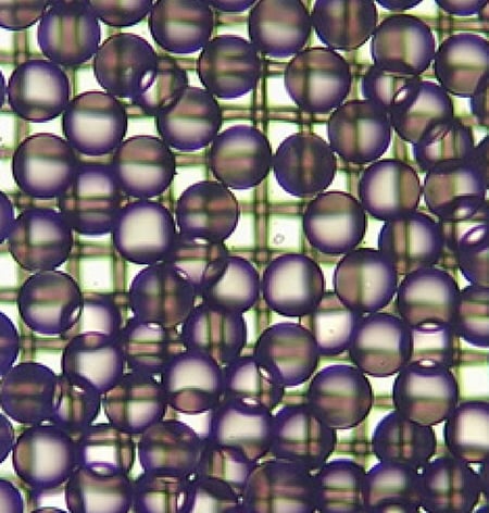 Magnetic Bead Removal Using Microcarrier and Cell Separation System