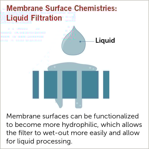 Phobic vs. Philic: How the Process Indicates the Membrane in Bioprocess ...